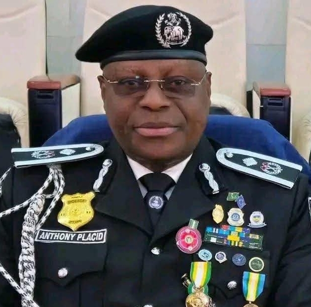 IGP Disu Orders Enforcement Against Unregistered, Concealed Number ...